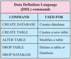 Exercise Solutions Class 11 Introduction to DBMS | Techniyojan